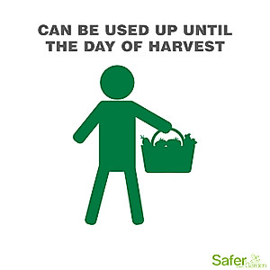 Safer Brand Garden SG5110 Insect Control and Killer Spray – Kills Aphids Beetles, Boxelder Bugs, Caterpillars, Earwigs, Spider Mites, Stink Bugs & More – Natural Oils Gentle on Plants – 24 fl oz