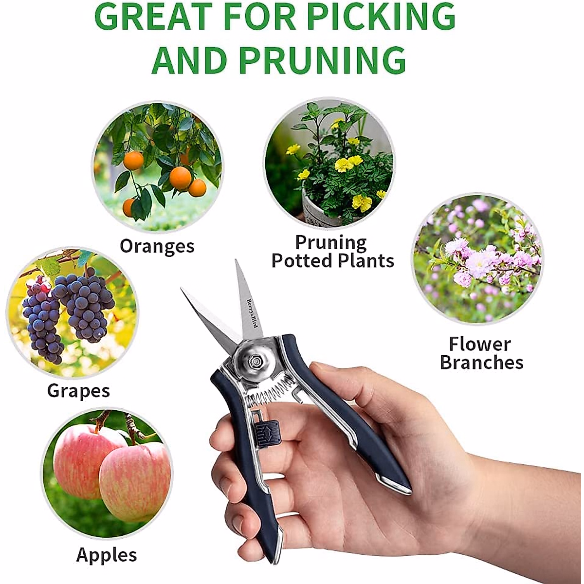 Berry&Bird Garden Tool Set, 4 PCS Stainless Steel Heavy Duty Gardening Tool Kit Includes Hand Trowel, 5 in 1 Shovel, Pruning Shears and Hand Fork with Ash Wood Handle for Weeding Transplanting Digging