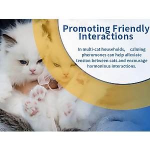 NUTRIARISE Multicat Diffuser - Cat Calming Diffuser with Cat Pheromones for Anxiety Relief - Includes Cat Calming Spray and Diffuser for Cats - Ultimate Solution for Stress-Free Home