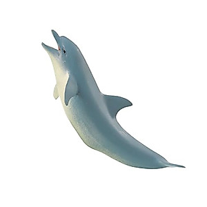Safari Ltd. Bottlenose Dolphin Figurine - Detailed 5" Plastic Model Figure - Fun Educational Play Toy for Boys, Girls & Kids Ages 3+