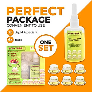 6 Pack Fruit Fly Trap | No Insecticides or Odor, Eco Friendly, Also Catch gnats