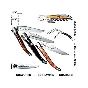 LAGUIOLE hunting knife, wood handle, with brown leather case, 19cm