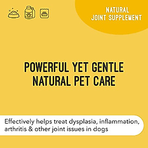 ArthriMaxx Cat Supplement for Joints, Liquid Drops, Anti-Inflammatory, Glucosamine & Chondroitin, for Joint Conditions, Chicken Flavor, 4 Month Supply