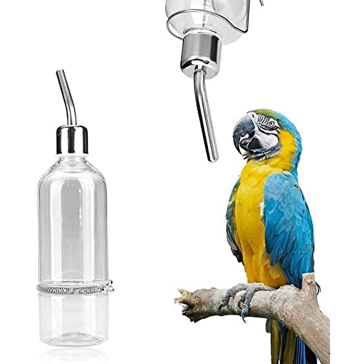 GOTOTOP Parrot Water Feeder Pet Hanging Water Feeding Bottle No Drip Dispenser Pet Supplies with Stainless Steel Ball Nipple for Small Animals Bird Hamster Rabbit Chinchilla Ferret(L)