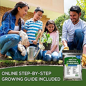 Medicinal and Tea Herb Seeds Collection - Over 4,500 Heirloom and Non GMO Garden Seeds for Planting Indoor, Outdoor & Hydroponic - Includes Basil, Lemon Balm, Chamomile, Lavender, and More