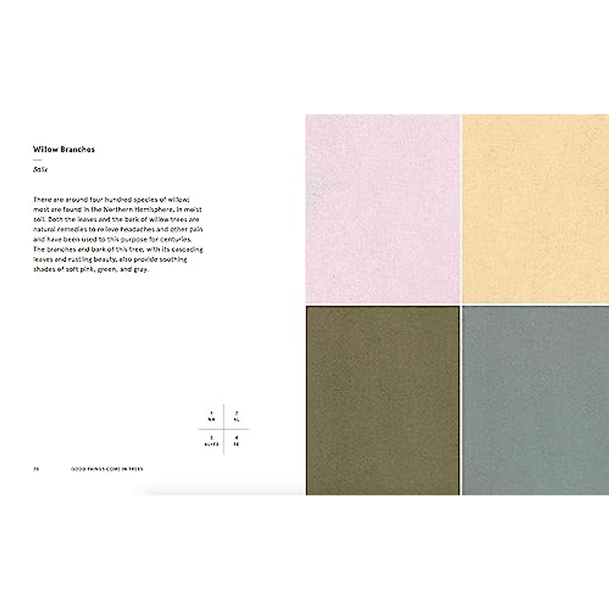 Natural Palettes: Inspiration from Plant-Based Color