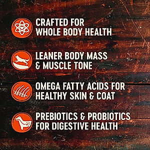 Wellness CORE Natural Grain Free Dry Dog Food, Wild Game (26-Pound Bag) CORE Natural Bowl Boosters Bare Dog Food Mixer or Topper, Freeze Dried Turkey (4 oz)