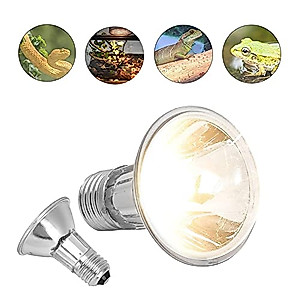 Dehydrator Pet Warmer Chicken Coop Heaters 3 Modes Adjustable Wattage Lighting Function Brooding Heating for Cats Dogs Poultry