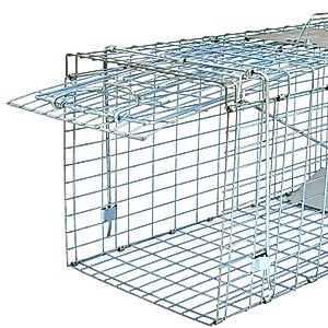 Oteymart Live Animal Trap Cage Catch Release Humane Rodent Cage with Handle Metal Steel for Rabbits, Stray Cat, Squirrel, Raccoon, Mole, Gopher, Chicken, Opossum (32" X 12" X 12")