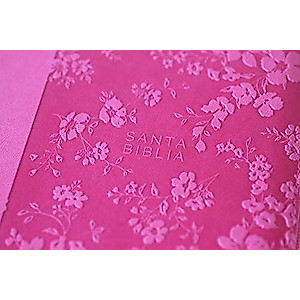 Biblia Reina Valera 1960 letra grande. Símil piel fucsia, cremallera, índice, ma nual / Spanish Bible RVR 1960. Handy Size, Large Print, Leathersoft