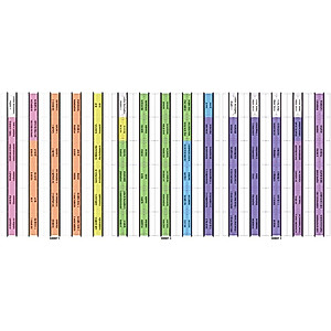 tabbies Rainbow Spanish Catholic Bible Indexing Tabs, Old & New Testaments Plus Catholic Books, 90 Multi-Colored Tabs Inc. 71 Books & 19 Ref. (58347)