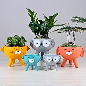 Hemoton 1pc Plant Holder Succulent Planter Bowl Animal Planter Pot Bonsai Plant Vase Pots for Outdoor Plants Ceramic Pot Flower Pots Outdoor Gardening Planter Outdoor Planters Mini Gift