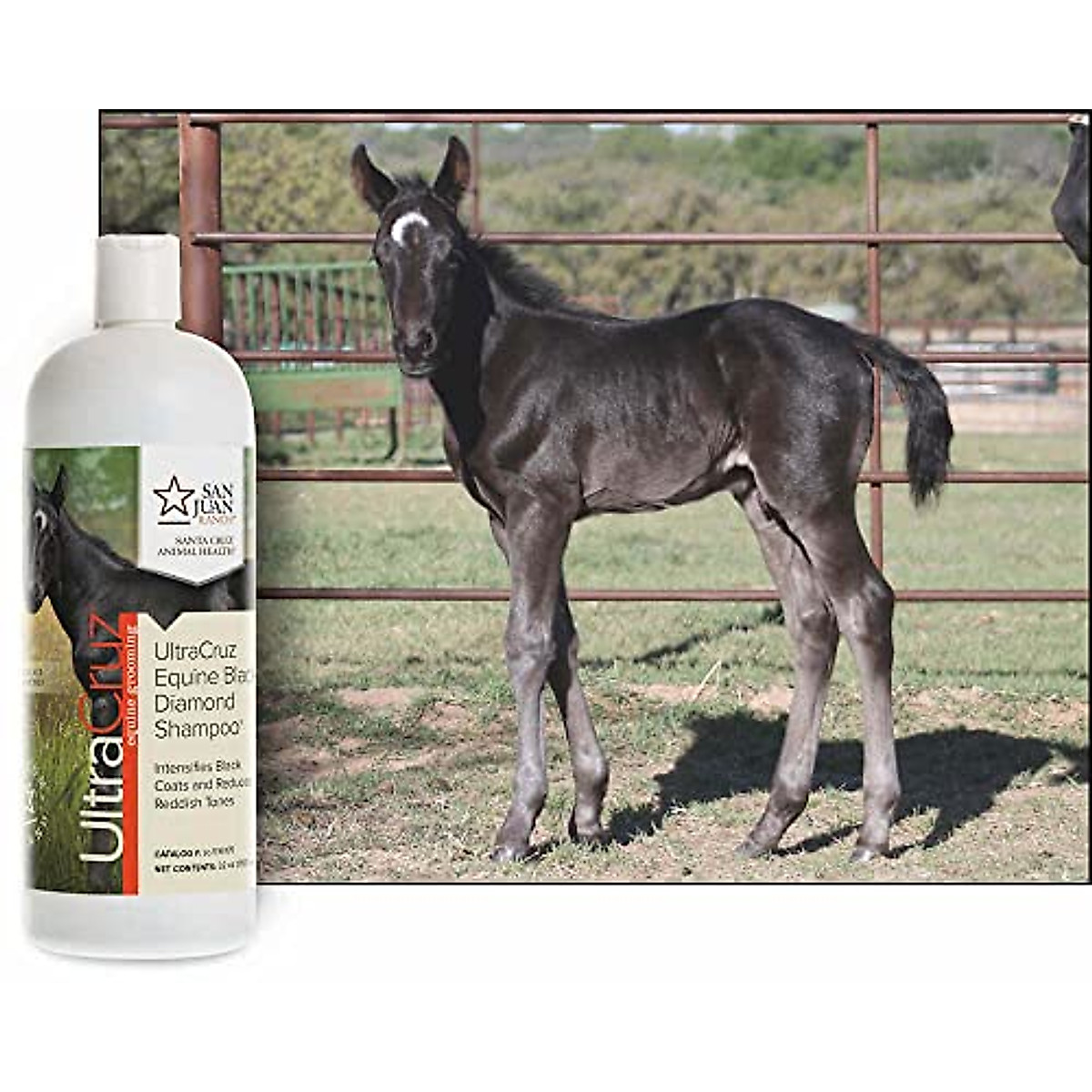 UltraCruz Equine Black Diamond Horse Shampoo, 32 oz