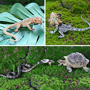 Toymany Reptile Animal Figurine Toys Set, 12 PCS Desert Amphibians Animal Figures with Komodo Dragon Lizard Snake Chameleon Rainforest Cold Blooded Animals Figures Party Favor for Kids