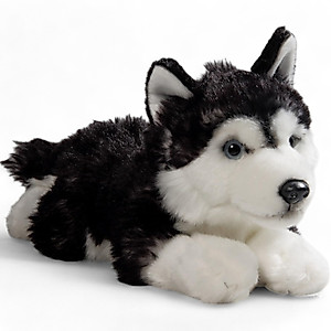 Carl Dick Husky 14 inches, 32cm Overall Length, Plush Toy, Soft Toy, Stuffed Animal 2783
