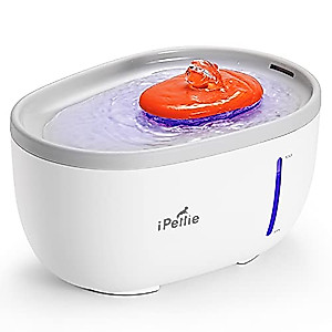 iPettie Avocado Pet Water Fountain with LED Light, 67oz/2.0L, Ultra Quiet Cat Water Fountain with Filter, Automatic Pet Water Fountain for Cats and Small Dogs, White