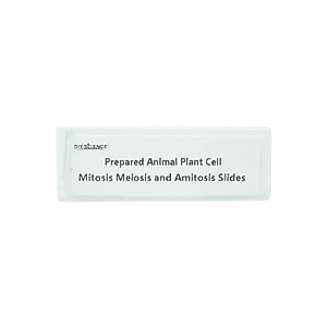 Prepared Animal Plant Cell Mitosis Meiosis Amitosis Comparison Microscope Slides Set, 5pcs Specimens to Display with Students in Biology Class (Mitosis & Meiosis)