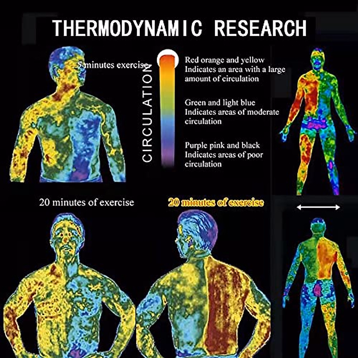 Fyins CC Gynecomastia Cream, Sculptique Gynecomastia Cream, Sculptique Abs Sculpting Cream, Sculptique Gynecomastia Chest Cream, Neigeuses Sculptique for Men (5 PCS)