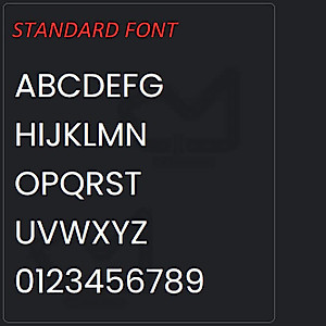 Race Car Roundel Number Plate Vinyl Decal - Permanent, Reusable and Magnet Available (18 inch, Magnet)