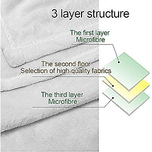 HommomH 60"x80" Blanket Soft Fluffy Fleece Throw for Sofa Bed Tiger Leopard Lion