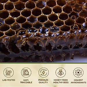 OneRoot Raw Buckwheat Honey - 500g/17.6oz, Unheated, Unfiltered and Unprocessed Natural Dark Honey, Rich in Antioxidants Pure Buckwheat Honey