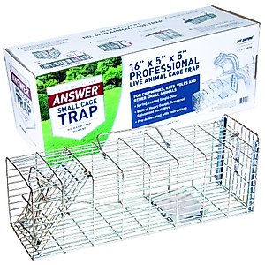 JT Eaton Answer 497N Small Live Cage Trap for Chipmunks, Rats, Voles, Humane Catch and Release with Spring-Loaded Door, Compact Design
