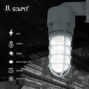 Sokply LED Explosion Vapor Proof Light UL844 Certified 30W 4200LM (120W HPS Eqv.), Class I Division II Hazardous Locations Industry Luminaires AC100-277V IP66 Waterproof, O Series