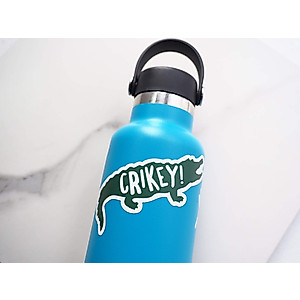 Crikey Sticker, Cute Crocodile Stickers for Hydroflask, Crocodile Dundee Quote, Croc Hunter Australian Sayings, Aussie Quotes, Reptile Decal