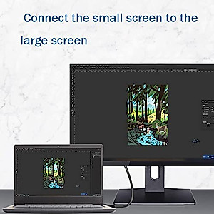 Twozoh Micro HDMI to DVI Cable 6FT, Micro HDMI 1.4 to DVI 24+1 Pin Male to Male Cable Support 1080P Full HD