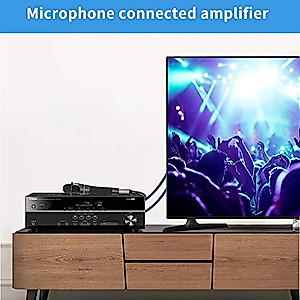 Disino Dual Female XLR to Dual RCA Cable, Heavy Duty 2-XLR Female to 2 RCA/Phone Plug Male HiFi Stereo Audio Connection Microphone Cable Interconnect Lead Wire - 10 Feet /3 Meters