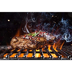 Jax Smok'in Tinder Premium BBQ Wood Chips for Smoking and Grilling Variety Pack, 4 of Our Most Popular Medium Sized Wood Chip Packs 2.90 Liter Bags (1 lb each) USA (Apple, Pecan, Hickory, Mesquite)