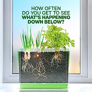 Root Viewer Kit for Kids - Easter Gifts - Grow Your Own Plant for Boys & Girls - Science STEM Toy & Craft Growing Kits for Ages 4-8 Birthday Gifts for Boy, Girl 4, 5, 6, 7, 8, Year Old - Gardening Toy