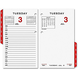 At-A-Glance - E017-50 - At-A-Glance Loose Leaf Desk Calendar Refill