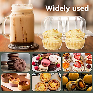 GothaBach 40 Pack 4-Compartment Clear Plastic Cupcake Boxes, 4-Cavity Cupcake Holders, Clear Cupcake Containers