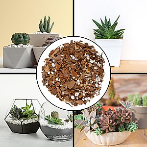 Cactus and Succulent Potting Mix (8 Quarts), Special Blend-Fast Draining and Desert-Style Gritty