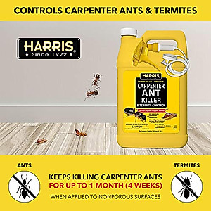 Harris Carpenter Ant Killer & Termite Control Treatment, 128oz Spray