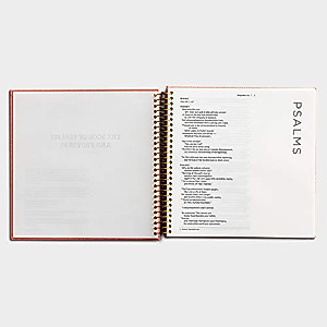 Illustrating Bible NIV: Books of Psalms & Proverbs - Spiral Bound Bible Journal, Coral
