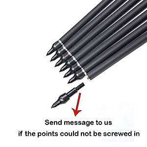 Pinals Archery 300 340 400 Spine Carbon Arrows for Compound Bows Traditional Recurve Bow Longbow 30 Inch Shafts Hunting Target Arrow 12PCS Spine 300