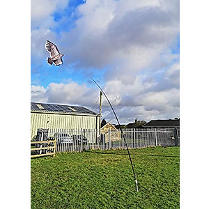 Defenders Hawk Kite (Humane Effective Bird Scarer for Buildings, Gardens, Crops)