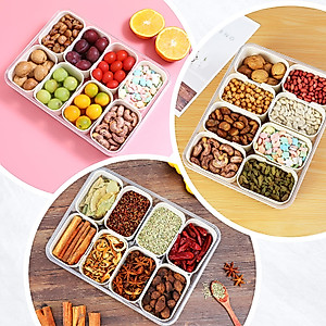 NOIRUC-CZ Divided Clear Snackle Box with Lid and Handle Food Serving Tray Fruit & Veggie Container with 8 Detachable Dividers Portable Snack Platters Charcuterie Board Container for Party, Travel (1)