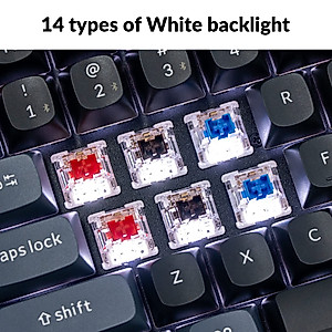 Keychron K2 Pro QMK/VIA Wireless Mechanical Keyboard, Custom Programmable Macro Wired Keyboard with Hot-Swappable K Pro Blue Switch White LED Backlight PBT Keycaps for Mac Windows Linux