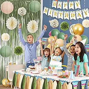 Sage Green Birthday Party Decorations with Happy Birthday Banner Olive Green Gold Balloons Fringe Curtain for Girls Women Baby Shower Birthday Decor