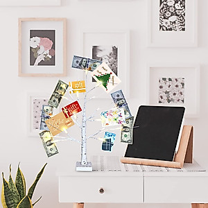 DECORKEY Money Tree Gift Holder, 24" 2FT Birch Tree with LED Lights, Battery Powered Timer Display Trees Stands with 12 Clear Clips Card, for Christmas, Birthday, Wedding, Photo, Graduation (White)