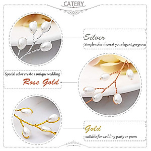 Catery Bride Wedding Headband Pearl Hair Vine Braid Headpieces Bridal Hair Accessories for Women(Sliver)