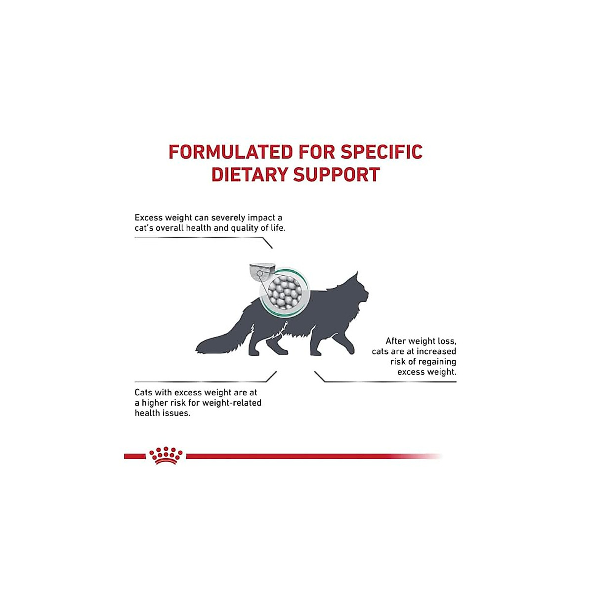 Royal Canin Veterinary Diet Feline Satiety Support Weight Management Dry Cat Food, 12 oz