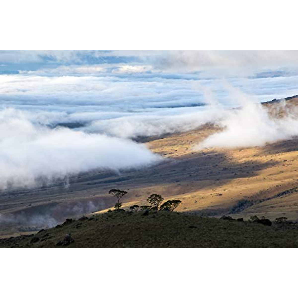 Tamron 16-300mm f/3.5-6.3 Di II VC PZD Macro Lens for Canon Camera (Model B016E) - International Version (No Warranty)