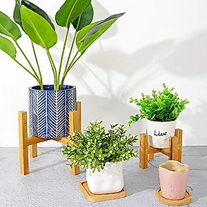 CHDHALTD Mid Plant Stand Durable Wood Planter Pot Trays Flower Pot Holder Strong Free Standing Bonsai Holder Home Garden Indoor Display Plant Stand Shelf