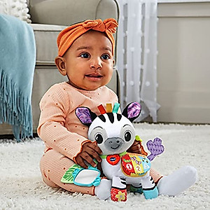 VTech Take Me with You Zebra