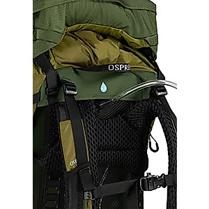 Osprey Atmos AG LT 50L Men's Backpacking Backpack, Scenic Valley/Green Peppercorn, L/XL
