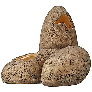 Exo Terra Dinosaur Egg Fossil Ornament